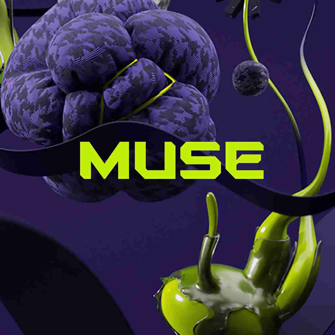 MUSE FESTIVAL 2025: Where Electronic Sound Meets Historic Space - Keyi ...